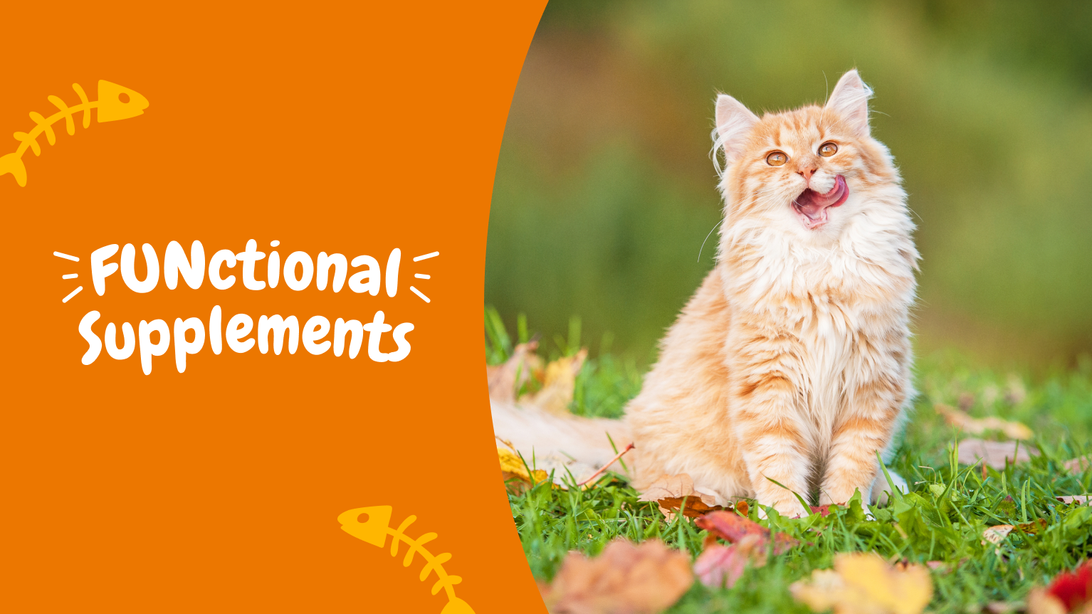 Cat Supplements – Zesty Paws UK