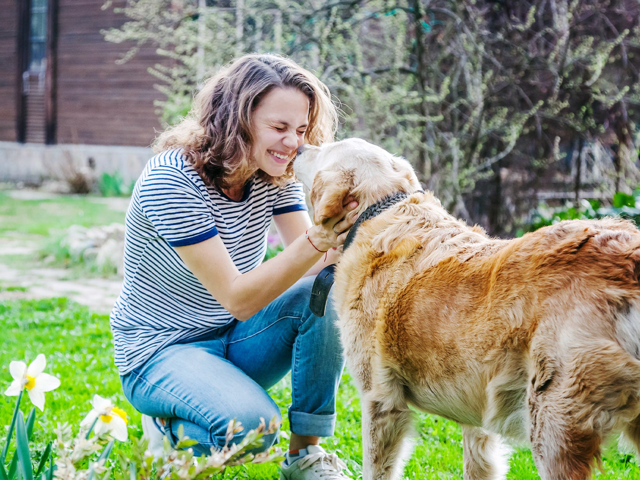 About Us – Zesty Paws UK