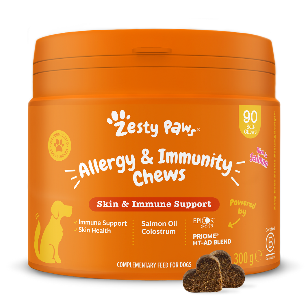 Dog Supplements Disguised as Tasty Treats – Zesty Paws – Zesty Paws UK