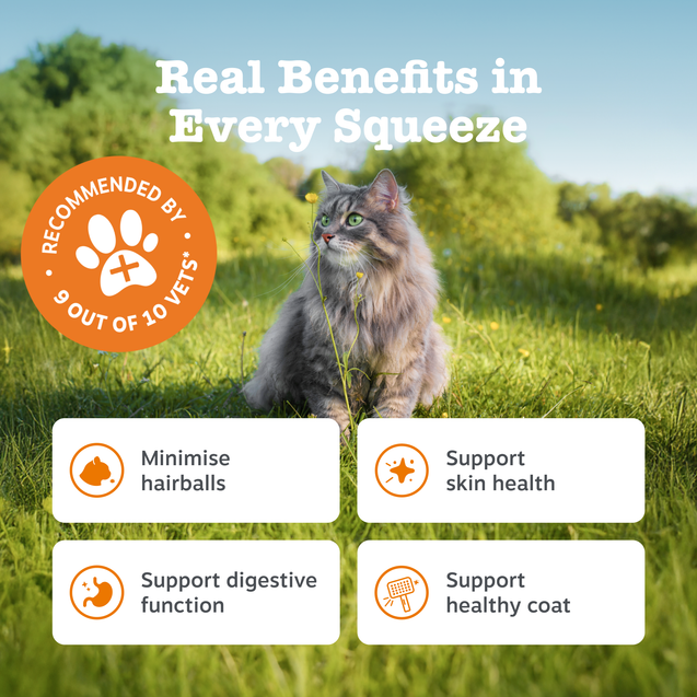 Anti-Hairball Paste for Cats – Zesty Paws UK
