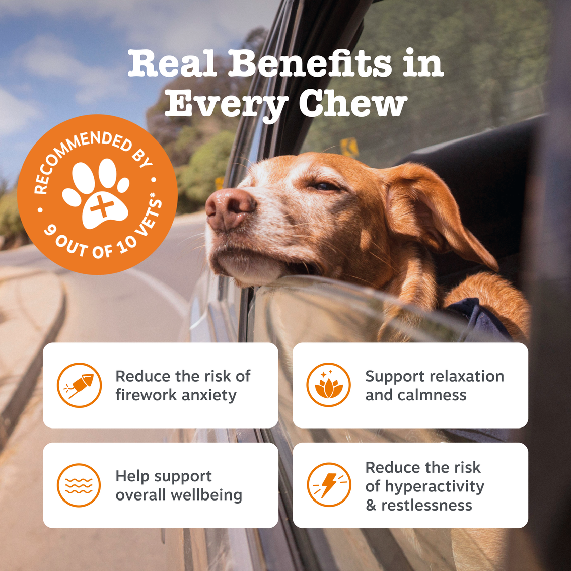 Canine Calming Chews for Dogs – Zesty Paws UK