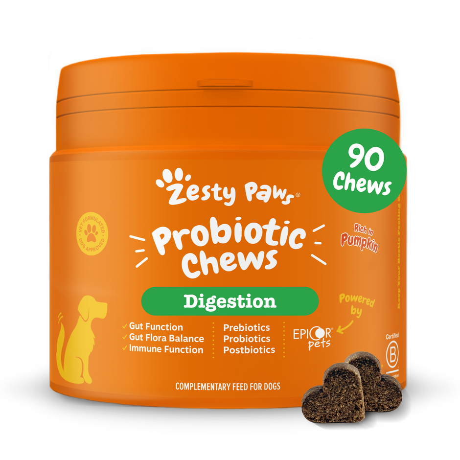 Science-Backed Supplements for Dogs & Cats – Zesty Paws UK